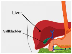 Faq - Manchester Gallstone Clinic